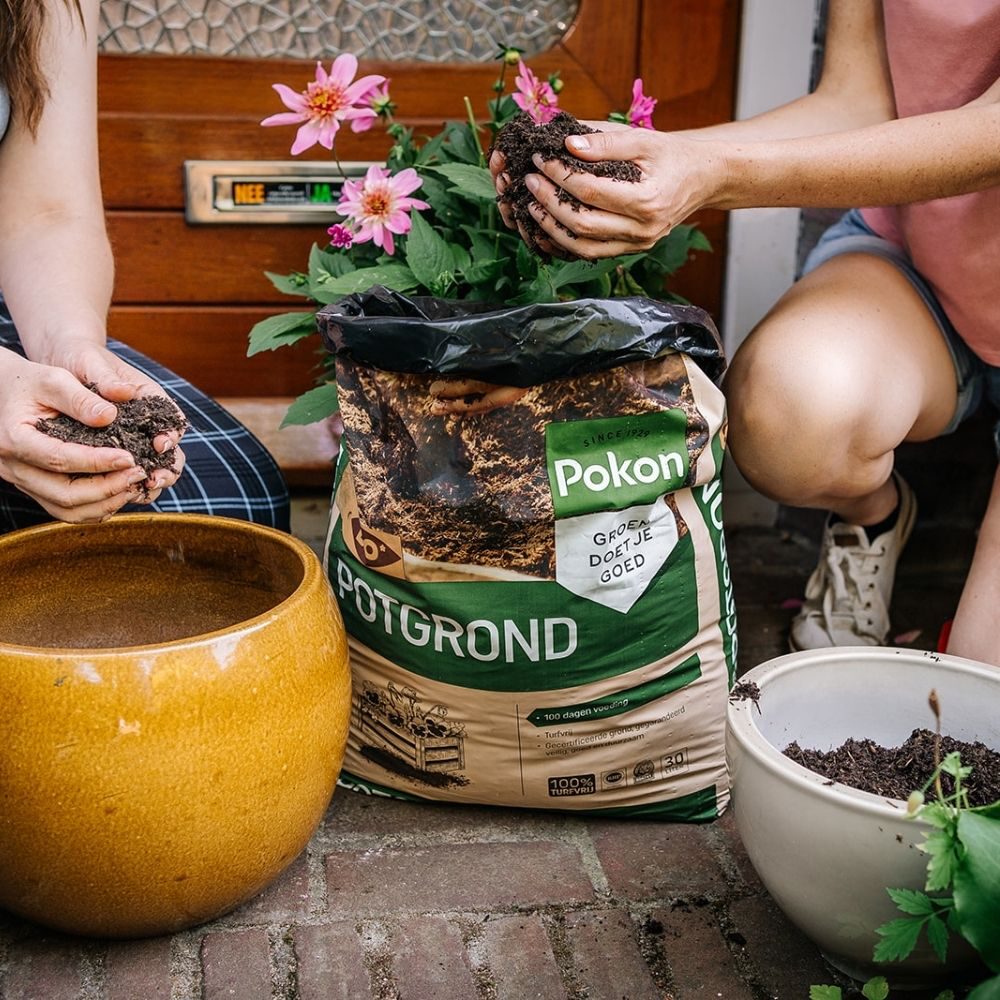 Pokon Potgrond 30L BIO turfvrij kopen | Plantsome
