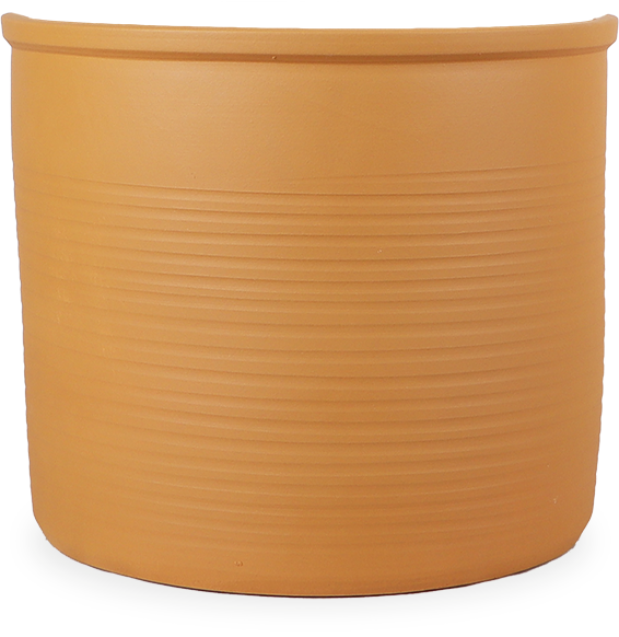 Momo (32cm) – Plantsome